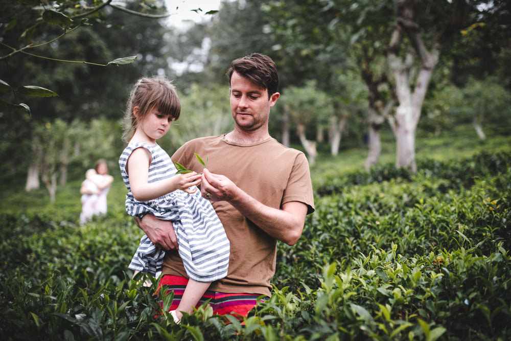 Love Tea - Certified Organic Tea – LOVE TEA